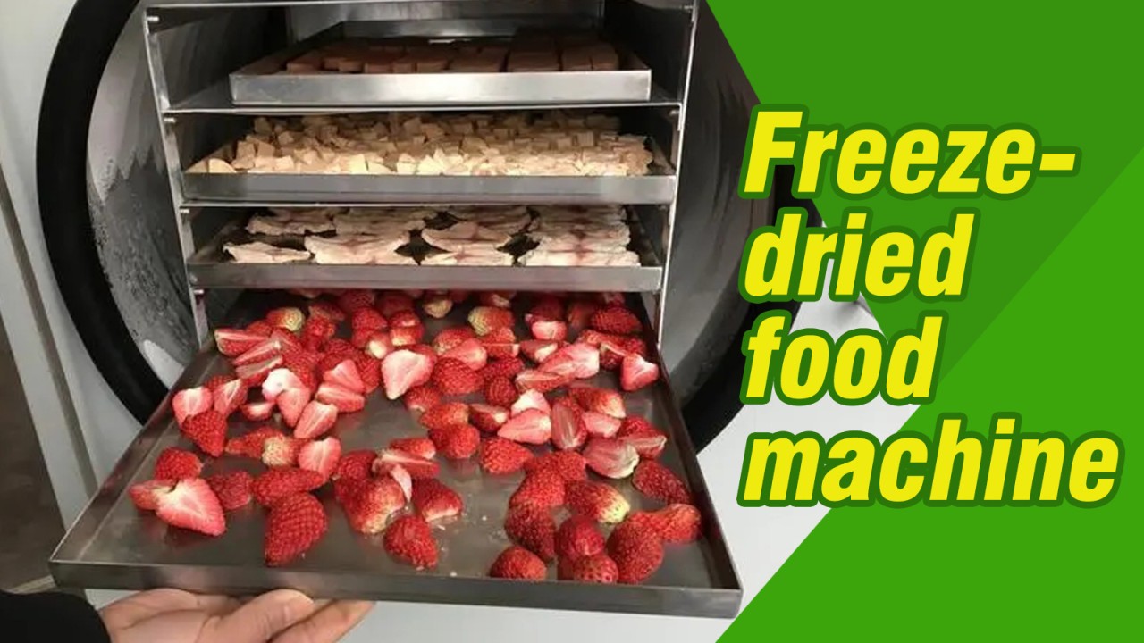 Factors Affecting Sublimation Drying Time You Need to Know